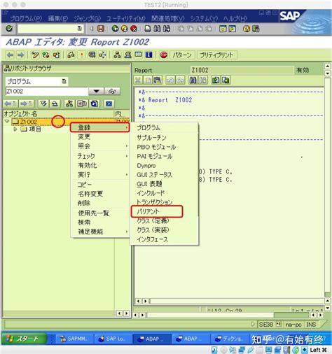 Sap Abap 17（中日版） バリアント 知乎