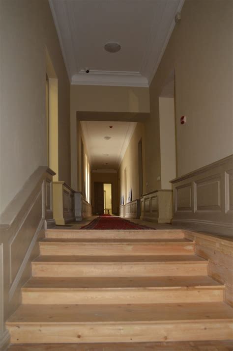 მოსწავლე ახალგაზრდობის ეროვნული სასახლე Insi