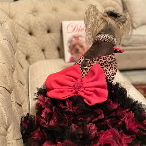 Cmimi Cmimi Added A New Photo