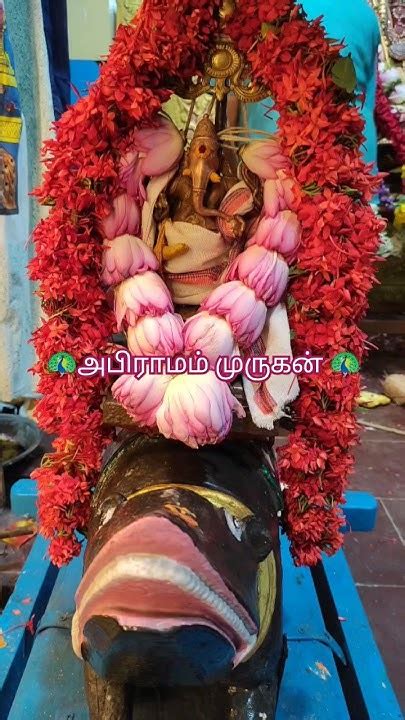 🦚ஏறுமயில் ஏறி விளையாடும் முகம் ஒன்று 🦚 Youtube