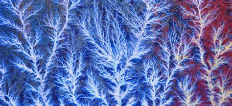 How Do Growth Pathways And Nutrient Sensing Impact Our Aging