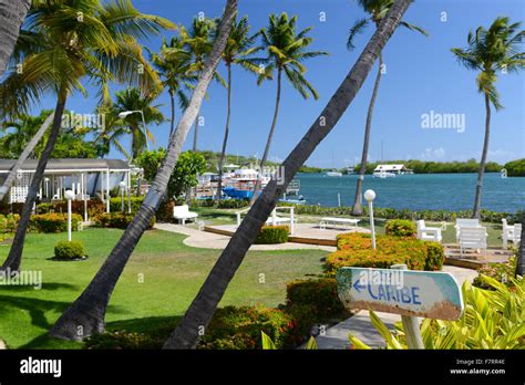 View Of La Parguera Lajas Puerto Rico Caribbean Island Usa