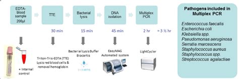 Sample Processing Method And Multiplex Pcr Assay Edta Download Scientific Diagram