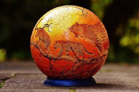 Free Images Plant Play Food Produce Pumpkin Leopard Gourd Art