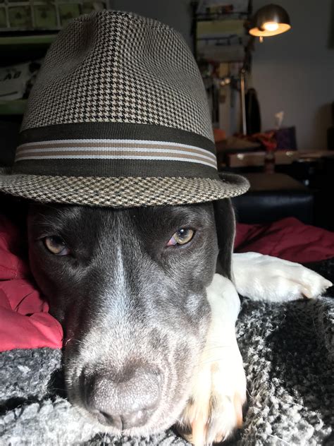 Annabelle Stayed Up To Late Dancing To Her Ska Records Not Gonna Make Midnight Tonight R