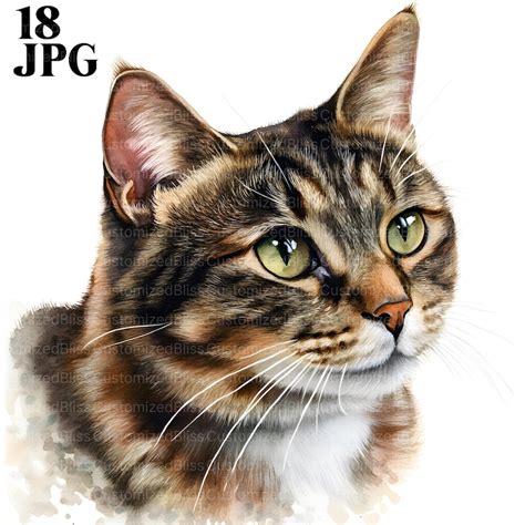 Watercolor Cat Tabby Etsy