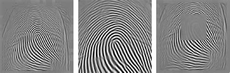 Figure 1 From A Cnn Based Framework For Comparison Of Contactless To Contact Based Fingerprints