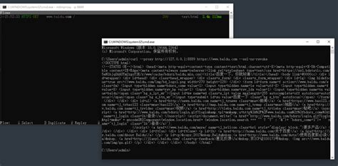 Android Mitmproxy Segmentfault