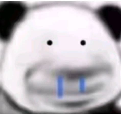 塞蒂恩助教上位，首秀战深圳，拿下足协杯就是拉圣国安教练组重组拉米罗主教练比赛