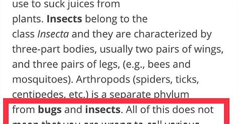 Bug Still Means Insect Album On Imgur