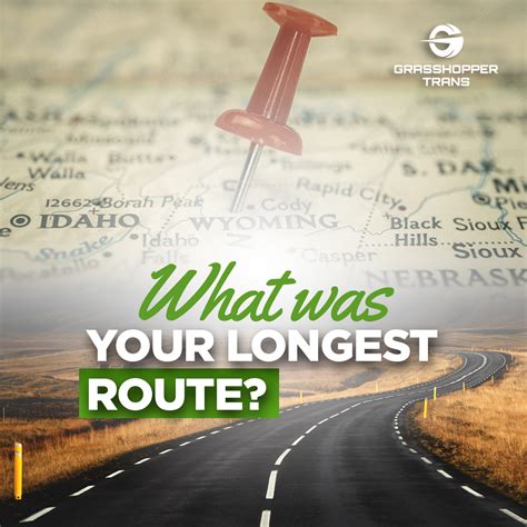 Do You Remember Let Us Know In The Grasshopper Trans