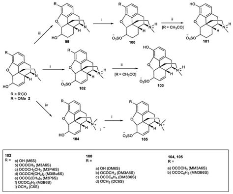 Synthesis And Modification Of Morphine And Codeine Leading To Diverse