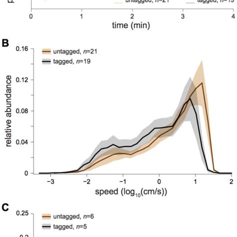 Figure S1 Tagging Does Not Disrupt Cockroach Behaviour A Tracking