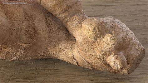 Spices Collection 3 3d Model 79 3ds Obj Max C4d Ma Free3d