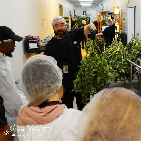 Andrew Valois Our Director Of Cultivation On One Of His Famous Tours