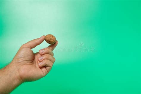 Hand Holding Magnifying Glass And Bugs On Paper With Printed