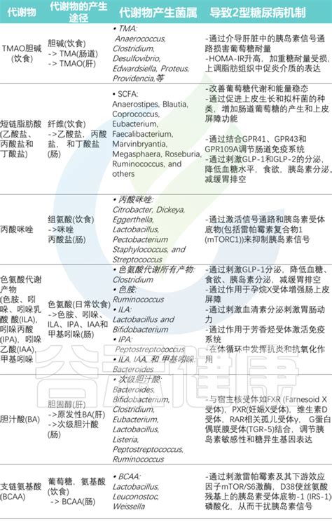 2型糖尿病如何做到可防可控肠道菌群发挥重要作用 谷禾健康