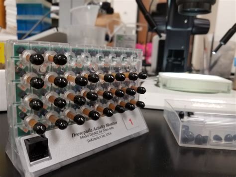 Research — Corey Cooper Portfolio