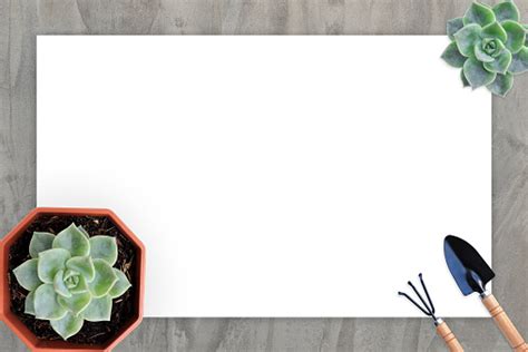 복사 공간이 있는 빈 종이 카드입니다 냄비에 즙이 많은 선인장 꽃 식물 괭이 도구 작은 정원 포크 및 종이 시트가있는 콘크리트 배경에 식물 냄비 원예 가정 개념 0명에 대한