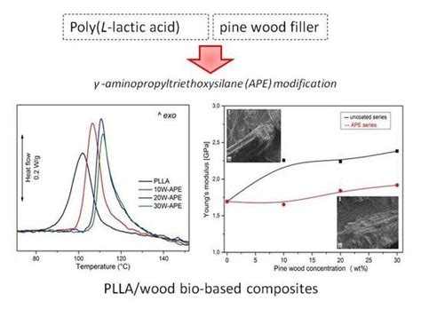 materials special issue recent advances in multicomponent polymer