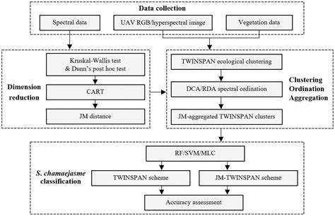 Frontiers | Discriminating Stellera chamaejasme in alpine grasslands ...