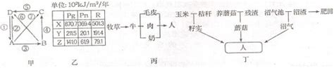 25．下列图一为某一草原生态系统的碳循环示意图图二表示在该生态系统中能量流经第二营养级的示意图请据图分析回答 1碳在生物群落内以