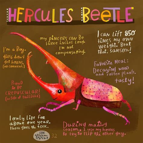 Illustration Of Hercules Beetle Hercules Beetle Beetle Beetle Illustration