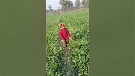 Meri Shruti Khet Ghumne Gai Youtube