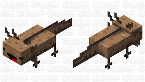 Nooby Axolotl Minecraft Mob Skin
