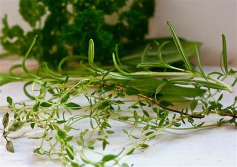 Cómo Deshojar Tomillo Y Romero Vídeo Gastronomía And Cía