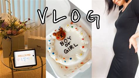 임신vlog L 12주~18주의 기록 극뽁이 성별공개🍑🌶 Feat 베이비빌리앱 Youtube
