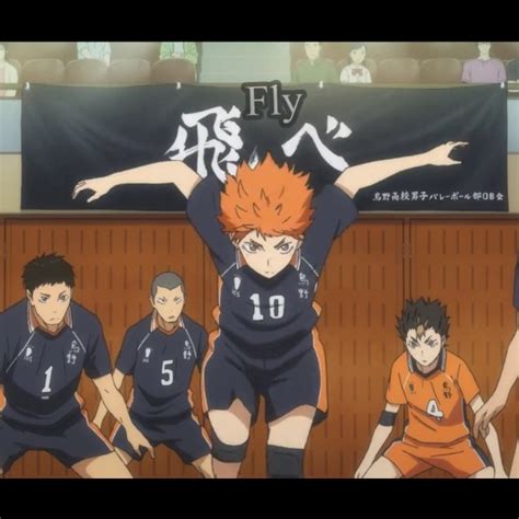Haikyuu Karasuno Fly