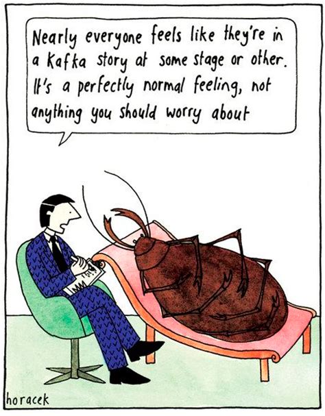 Insects And The Kafkaesque Insectuous Re Writings In Visual And Audio