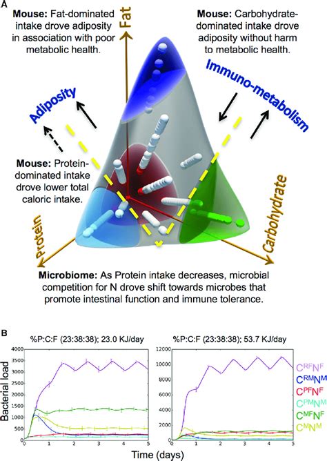 A Nutritional Ecology View Of The Host Microbiome Dynamic And Major Download Scientific Diagram