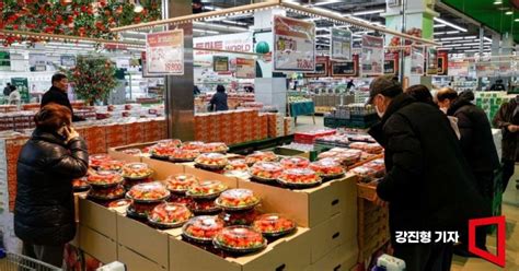 한국산 딸기 맛보러 35만명 몰려왔다…동남아인 입맛 사로잡은 K딸기