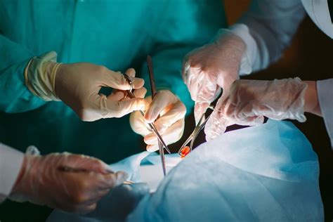 Mastopexia O Que é Como é Feita E Recuperação Tua Saúde