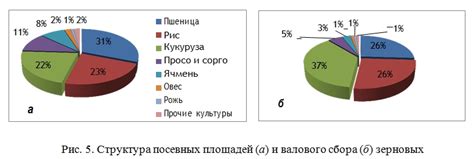 8 класс § 16 Растениеводство География выращивания зерновых культур