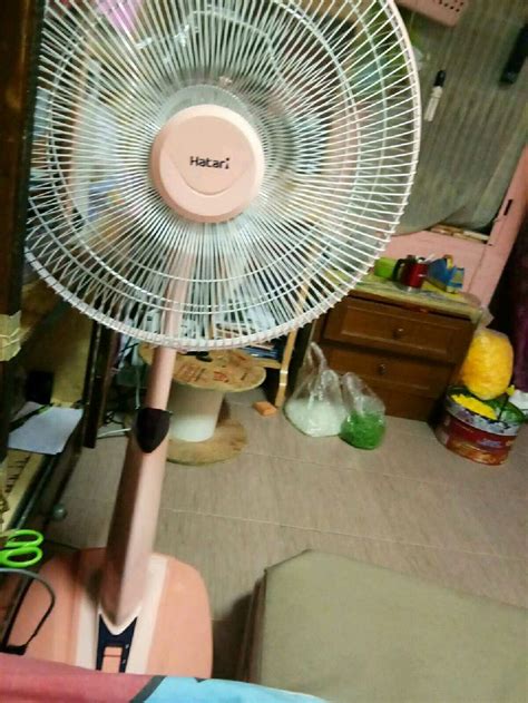 Pin By Nuaaa Ugg •• On Jj Floor Fan Home Appliances Flooring