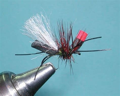 Dry Flies Fly Fishing The Sierra