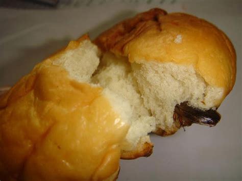 කැරපොතු බනිස් Mini Gossip Gossip Lanka News Hot Gossip Hiru Gossip