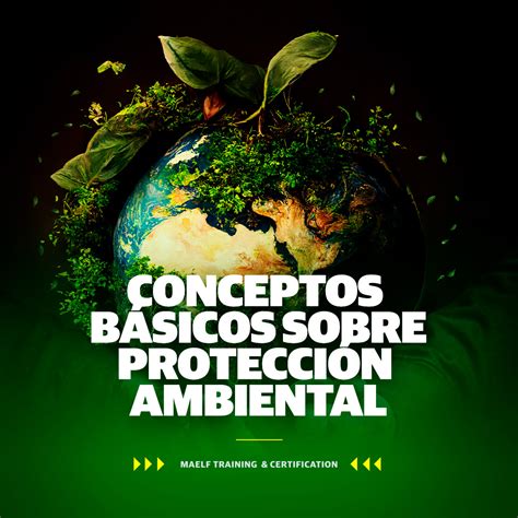 Conceptos B Sicos Sobre Protecci N Ambiental Capacita Maelf