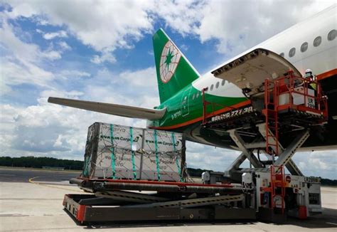 元旦长荣航勤百余人因不满待遇请假 长荣航空80个航班延误航空要闻资讯航空圈
