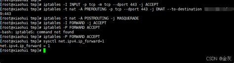 Cs 隐藏防朔源 数据转发 Iptableslinux自带的防火墙iptables端口转发隐藏 Csdn博客