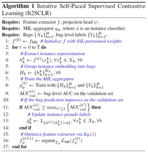 论文阅读 102：multiple Instance Learning Via Iterative Self Paced