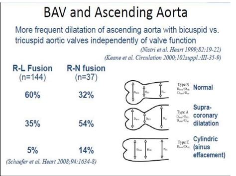 Bicuspid Aortic Valve Pptx Bicuspid Aortic Valve Pptx