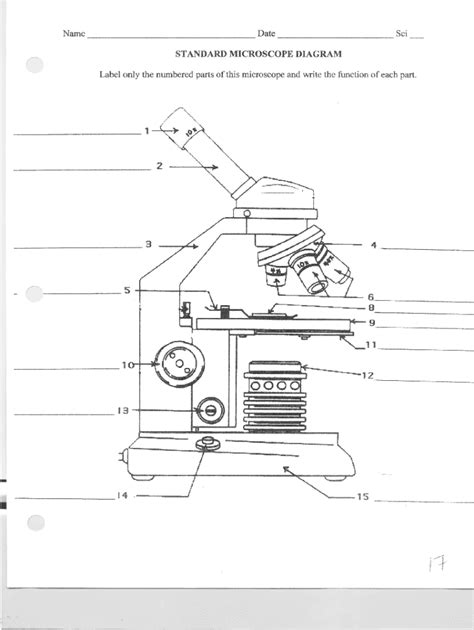 Fillable Online Name Date Sci Standard Microscope Diagram Fax Email Print Pdffiller