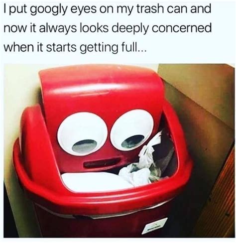 I Put Googly Eyes On My Trash Can And Now It Always Looks Deeply