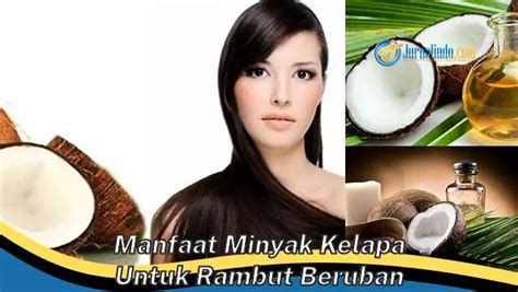 Jarang Diketahui Inilah 8 Manfaat Minyak Kelapa Untuk Rambut Beruban Yang Bikin Penasaran