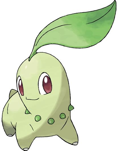 Chikorita Blank Template Imgflip