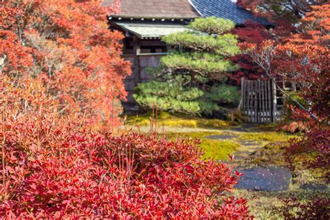 どうだん亭紅葉愛知県尾張旭市の観光撮影スポットの名所 東海カメラマップ